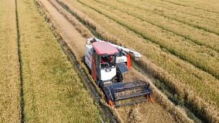 Chinese ambassador rejects Japan's protest over dual-use items export ...